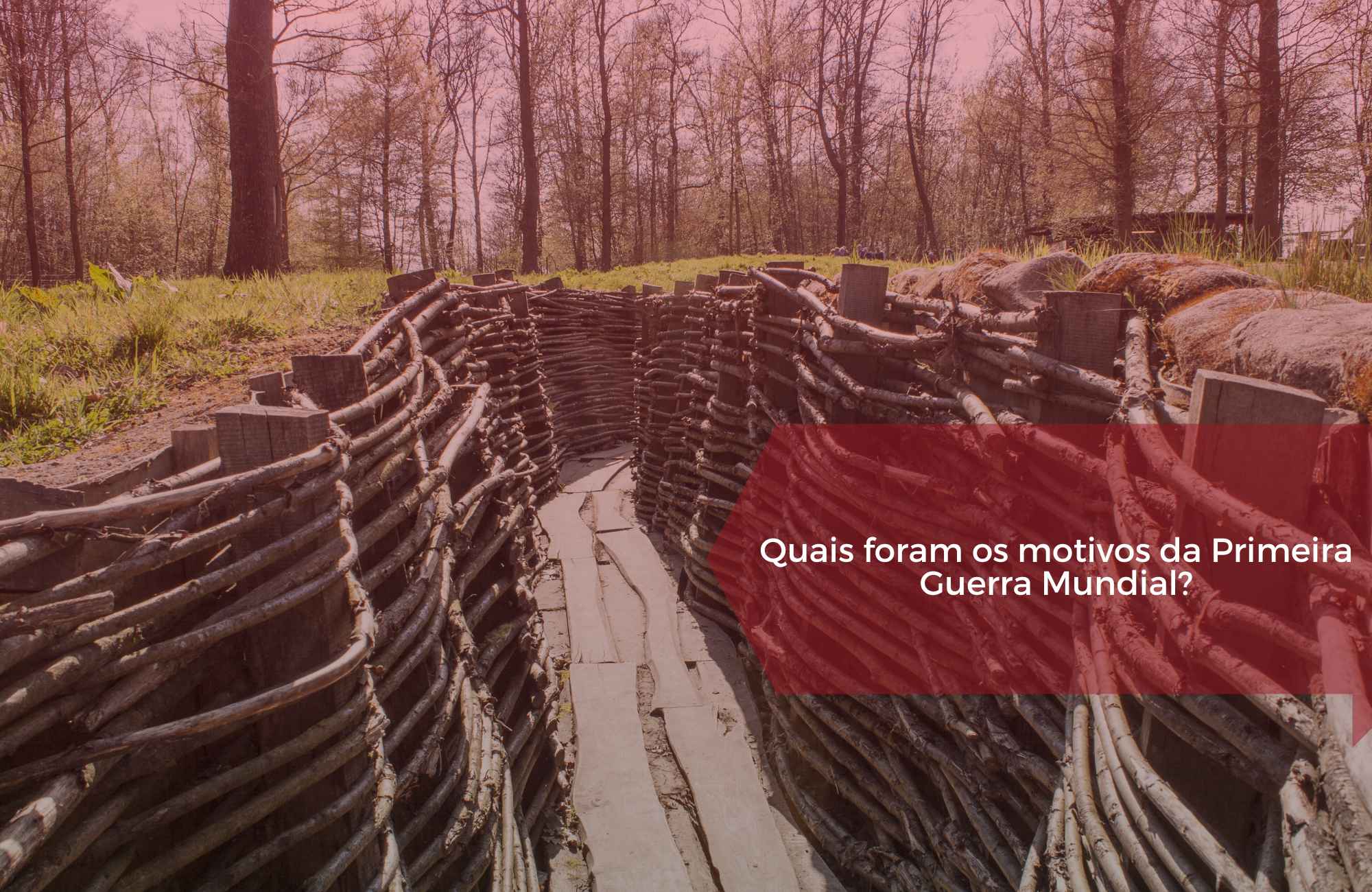 Quem lucrou com a Primeira Guerra?